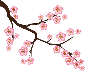 Sakura cherry blossom flower outline Royalty Free Vector
