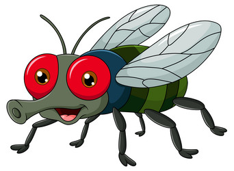 Fly cartoon Royalty Free Vector Image - VectorStock