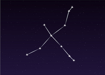 Cygnus The Swan Constellation