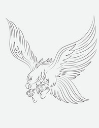 Hand drawn feathers Royalty Free Vector Image - VectorStock