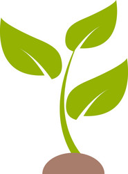 Sprout Royalty Free Vector Image - VectorStock