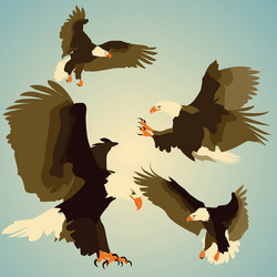 Eagles Background Vector Images (over 30,000)