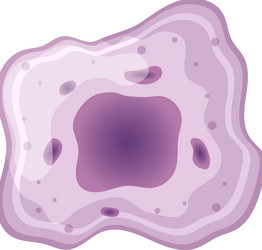 Cancer Cell Cartoon Vector Images (over 2,400)