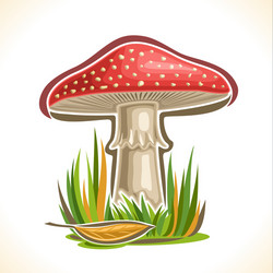 Toadstool Vector Images (over 10,000)
