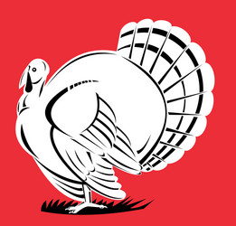 Turkey Vector Images (over 74,000)