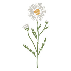 Aster Cartoon Pink Vector Images (58)