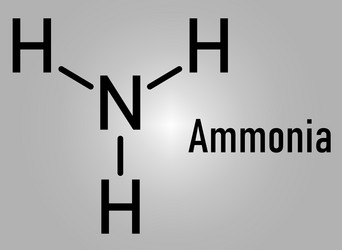 Nh3 Lewis Dot Structure
