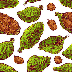 Cardamom Drawing Vector Images (over 530)