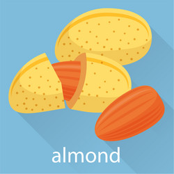 Almond icon almonds icon template flat Royalty Free Vector