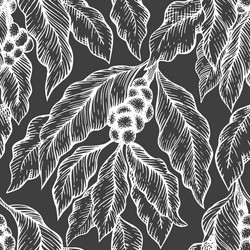 Coffee tree branch seamless pattern vintage Vector Image