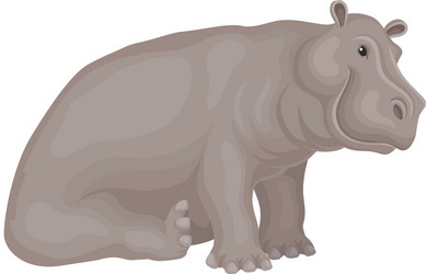 Hippo Flashcard Vector Images (65)