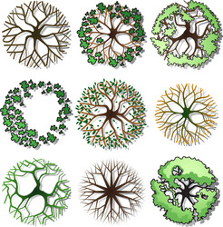 Trees - top view easy to use in your landscape Vector Image