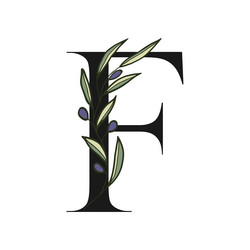 Olive branch abc Royalty Free Vector Image - VectorStock