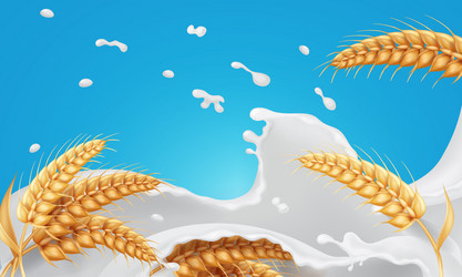 Flour Splash Vector Images (over 150)