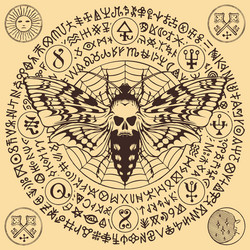 Banner with hand-drawn moth and magical symbols Vector Image