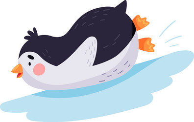 Penguin Sliding On Belly