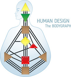 Human design bodygraph chart nine energy Vector Image