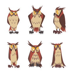 Set humanized stylish owls Royalty Free Vector Image