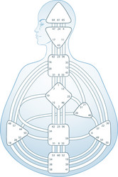 Human design bodygraph chart Royalty Free Vector Image