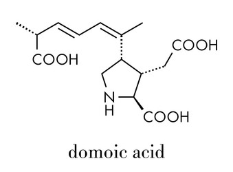 Domoic acid algae poison molecule responsible Vector Image