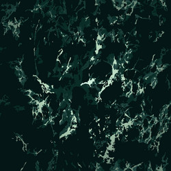 Crack texture scratch distress marble pattern old Vector Image