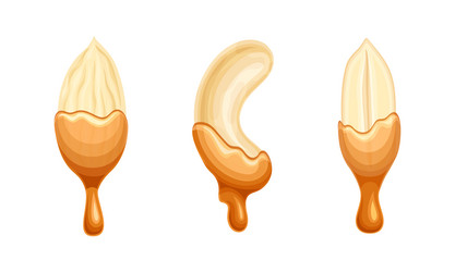 Nut as edible seed with dripping chocolate Vector Image