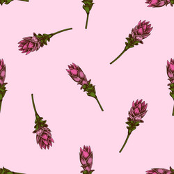 Turmeric Vector Images (over 2,500)