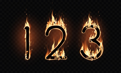 Numbers in fire flames on black background Vector Image