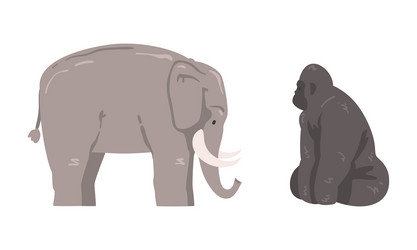 Trunk Monkey Vector Images (over 630)