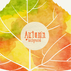 Magic autumn background Royalty Free Vector Image