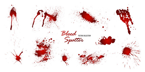 Blood splat splash spot ink stain blot patch Vector Image