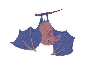 Cute bat sleeping upside down cartoon flat Vector Image
