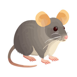 Rodent Vector Images (over 36,000)