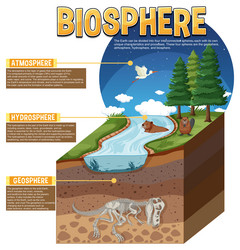 Biosphere ecology infographic for learning Vector Image