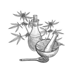 Drawing menthol essential oil Royalty Free Vector Image