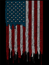 Us flag Royalty Free Vector Image - VectorStock