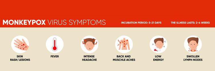 Monkeypox virus symptoms simple infographic post Vector Image