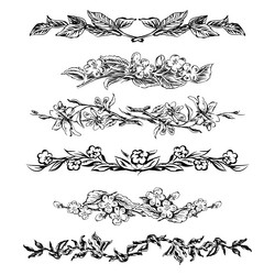 Elegant page divider natural vine decorative Vector Image