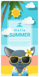 Hello summer background with cat Royalty Free Vector Image