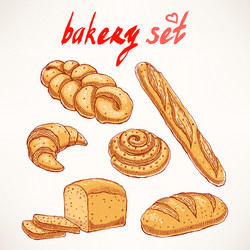 Fresh pastries Royalty Free Vector Image - VectorStock