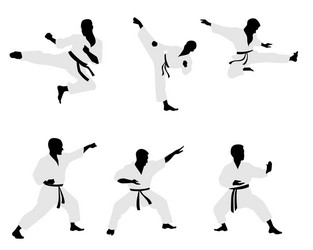 Karate Sidekick Vector Images (over 340)