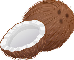 Coconut Animated