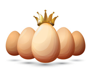 Best chicken egg design Royalty Free Vector Image