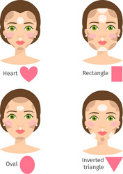 Set of different woman face types Royalty Free Vector Image