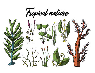 Prehistoric plants Royalty Free Vector Image - VectorStock