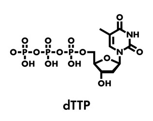 Ttp Vector Images (27)
