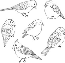 Cute cartoon sparrow bird line art Royalty Free Vector Image