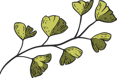 Jurassic Plants Vector Images (over 1,700)