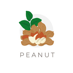 Peanut Drawing Groundnut Vector Images (over 650)