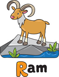 Urial or ram animals abc coloring book for kids Vector Image